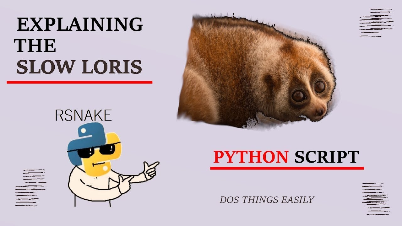 Mastering Slowloris.py: Python Guide to Launching an Effective Slowloris Attack