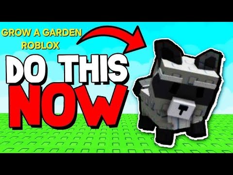 I Drew the Racoon from Grow a Garden... But His Story Will Surprise You