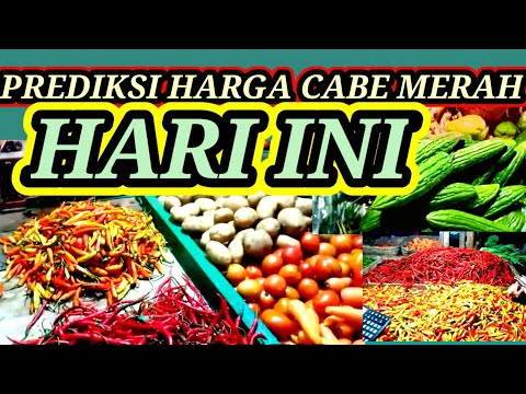 HARGA CABAI MERAH HARI INI/01/07/22 .