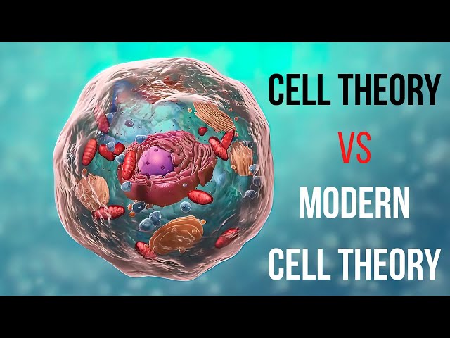 Understanding Cell Theory: From Origins to Modern Advances | Galaxy