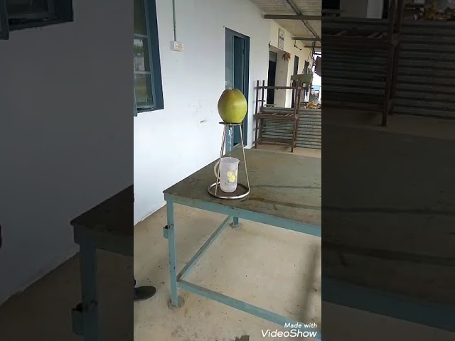 Tender coconut water machine - Tender Coconut Water Machine ...