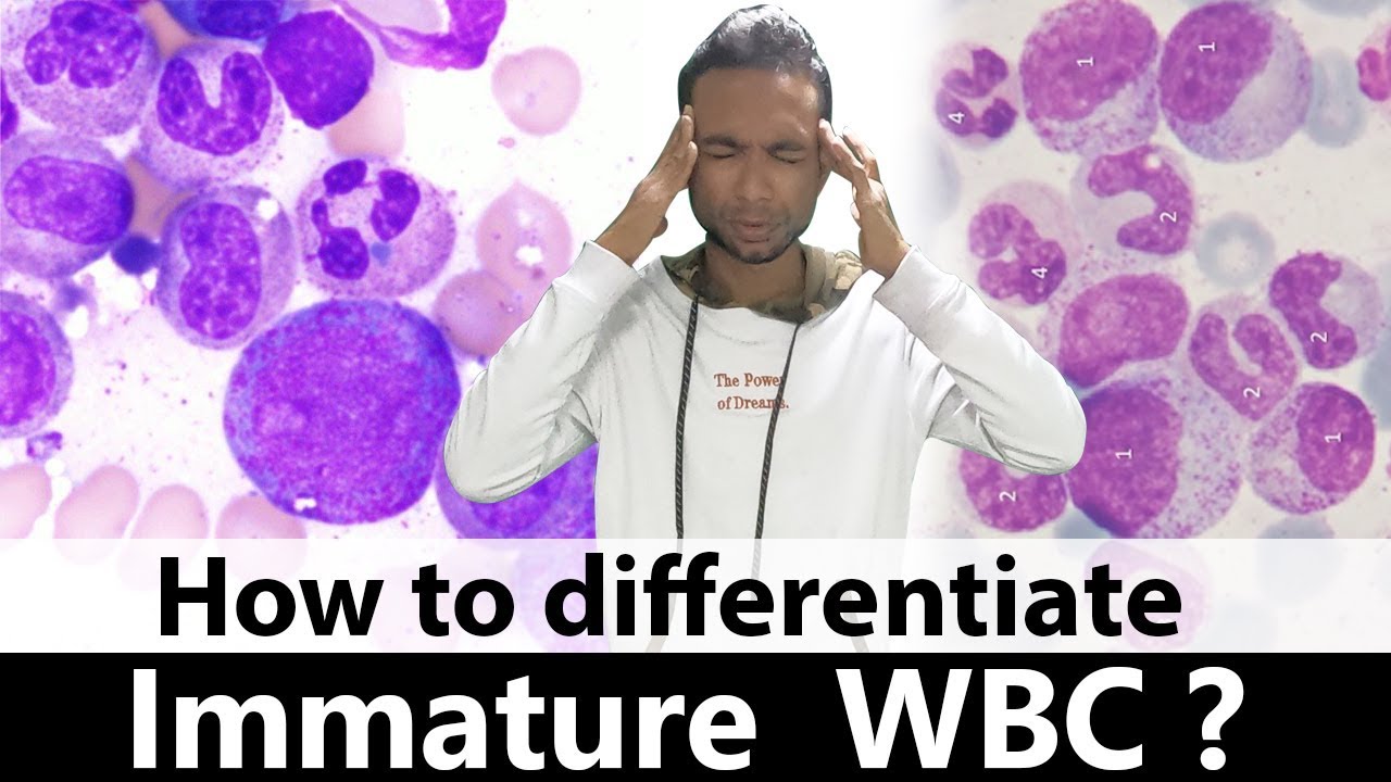 How to differentiate immature WBC ???
