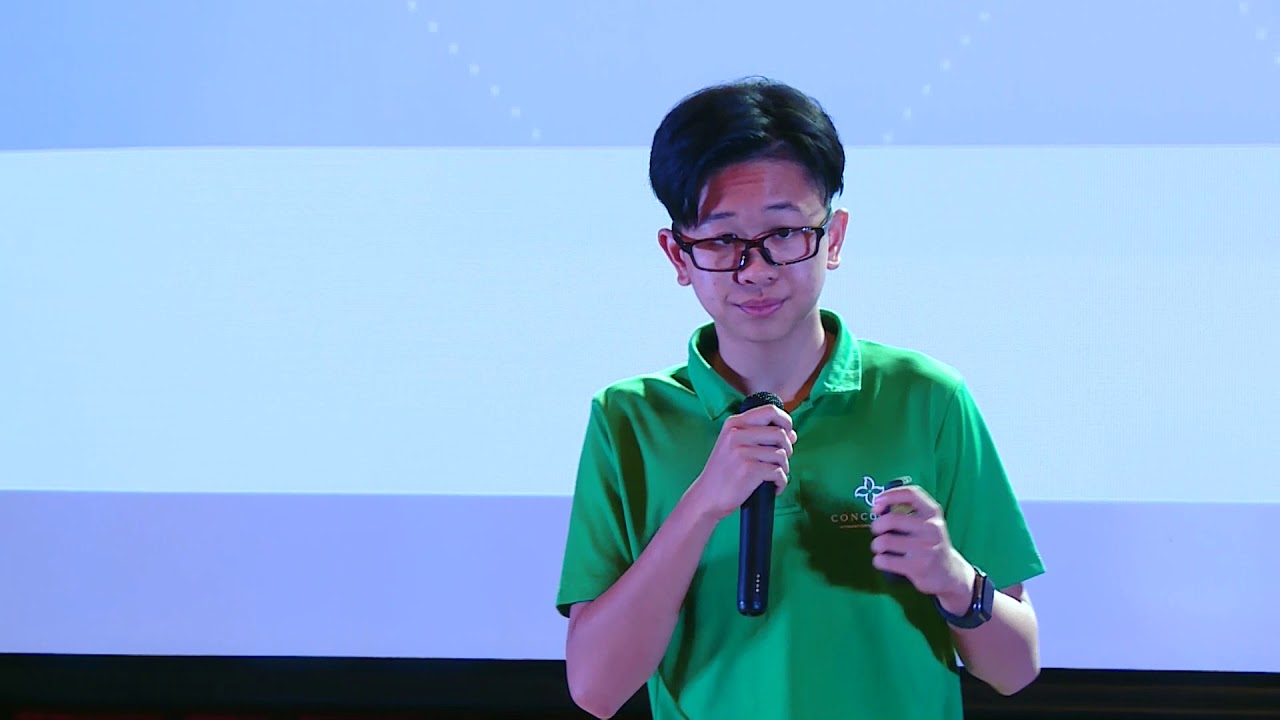The Guidance of Success | Minh Anh Nguyen | TEDxVinschoolHanoi