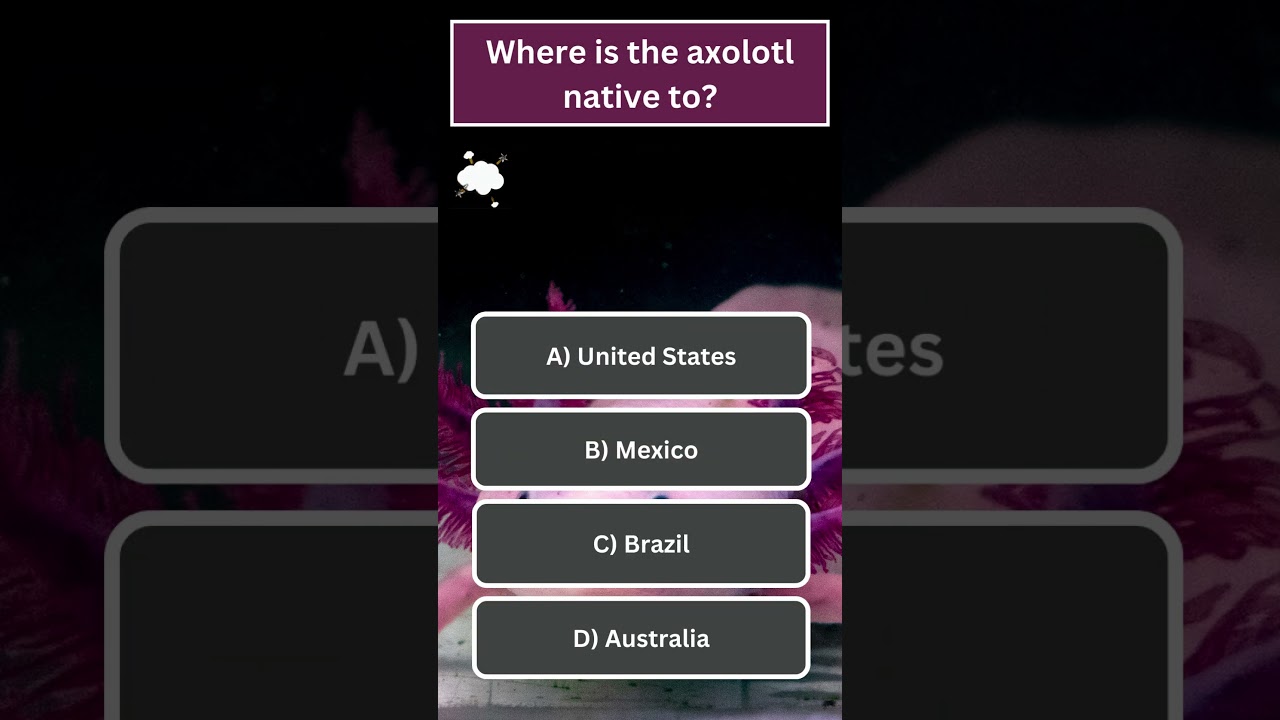 Where Can You Find Them? Bizarre Animal Adaptations Quiz