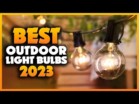 Top 5 Best Outdoor Light Bulbs You can Buy Right Now [2024]
