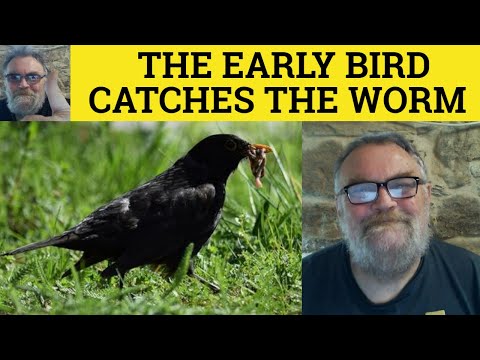 🔵 The Early Bird Catches The Worm Meaning - The Early Bird Catches The Worm Definition - Idioms