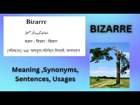 Bizarre: Meaning, Synonyms, Sentences, Usages (Urdu, Hindi, Bangla)