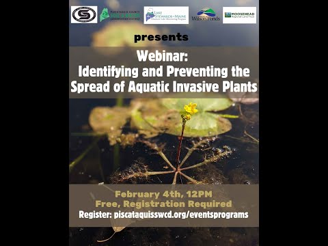 Webinar: Identifying and Preventing the Spread of Aquatic Invasive Plants