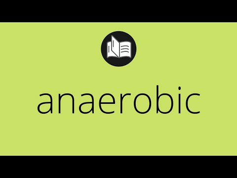 What ANAEROBIC means • Meaning of ANAEROBIC • anaerobic MEANING • anaerobic DEFINITION