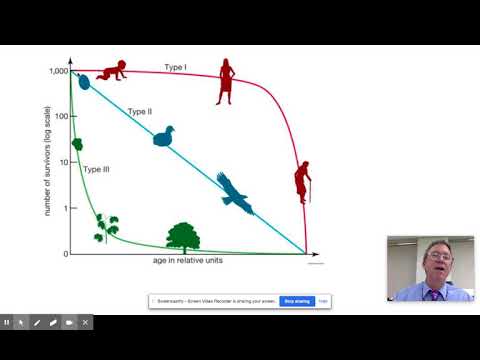 Survivorship Curves