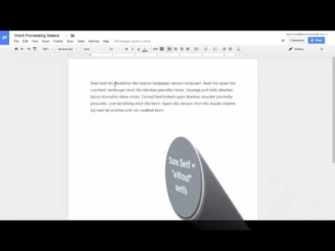 Font Type, Size, and Style using Google Docs