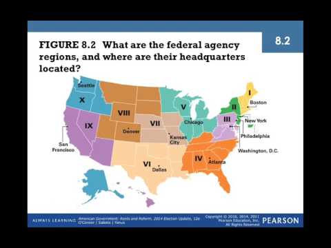 The Executive Branch and the Federal Bureaucracy