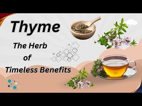 Thyme: The Herb of Timeless Benefits!
