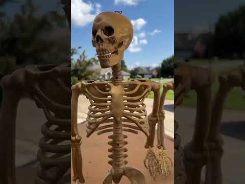 We have fairies in our yard! 😲🤯😂#Halloween #halloweendecor #easycraft #easydiy #fairy #skeleton