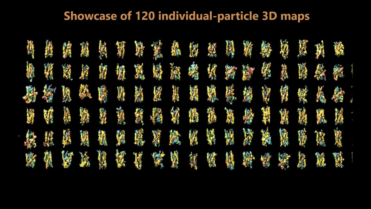 3d Snapshots Unveil The Intricate Dance Of Rna Folding 6470