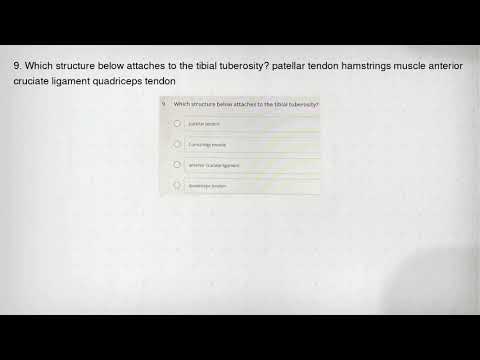 9. Which structure below attaches to the tibial tuberosity? patellar tendon hamstrings muscle anteri