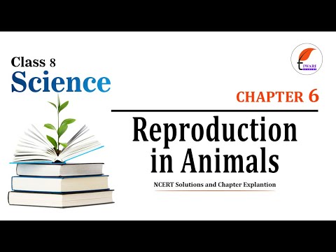 NCERT Solutions for Class 8 Science - Chapter 9