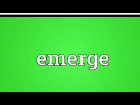 Week 1- Penguin in Peril vocabulary