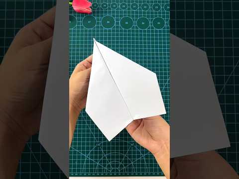 Paper Airplane Break the Guinness World Record of Farthest distance