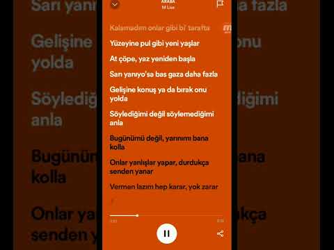 M lisa Araba lyrics spotify #lyrics