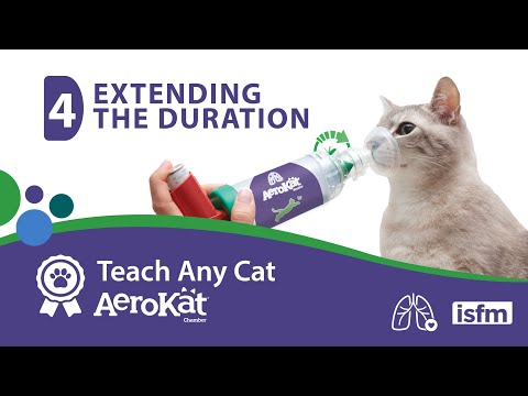 Teach Any Cat AeroKat* - 4: Extending the Duration