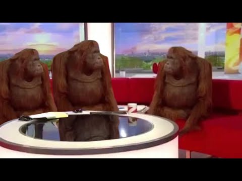 π΄LIVE no games tonight chat!!!! MONKEY LIVE