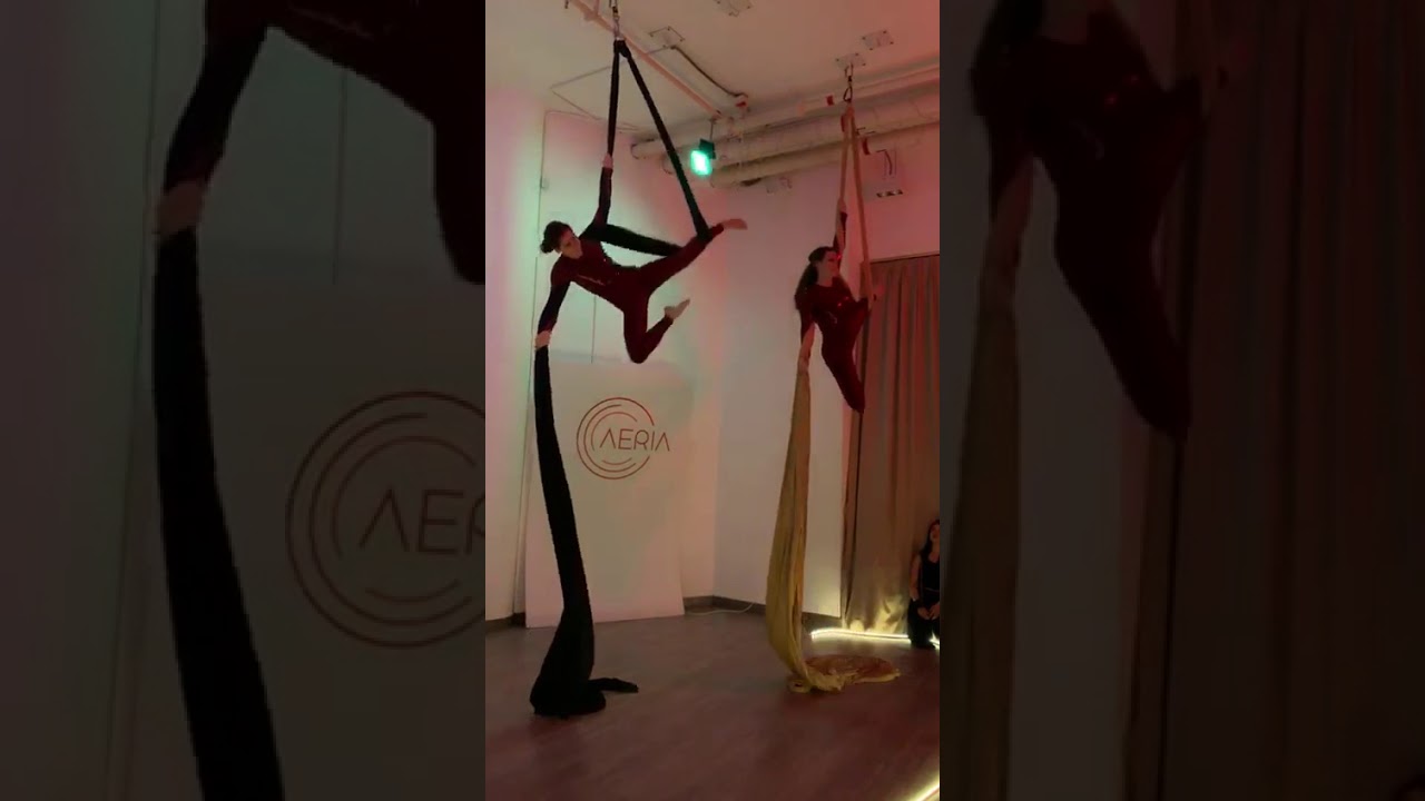 Hire Jessica Aerial - Aerialist in Port St Lucie, FL | GigSalad