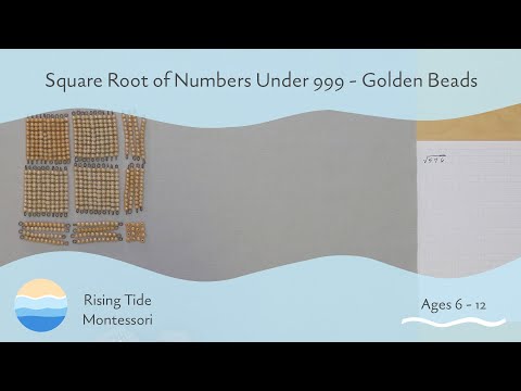 Square Root of Numbers Under 999 - Golden Beads