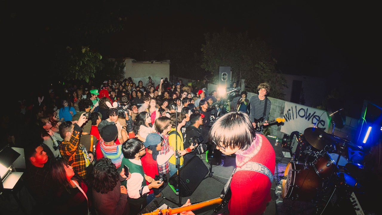 Willowake - Echo Odd (Live at Willoween House Show)