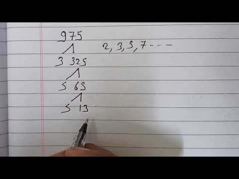factor tree of 975 | prime factor tree |