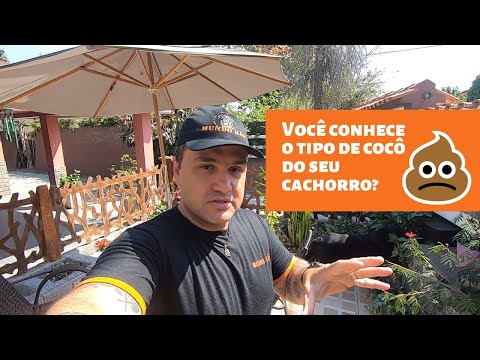 Tipos de fezes (vale à pena conhecer)