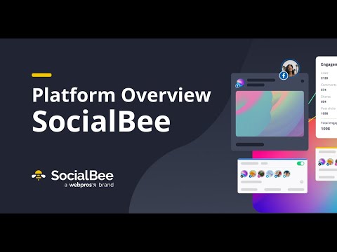SocialBee Overview | Social Media Management Tool