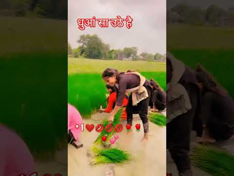 बरसात के दिन आये..... #viralreels #trendingreels #shorts #viralvideo #comedyvideo #instagramyoutube