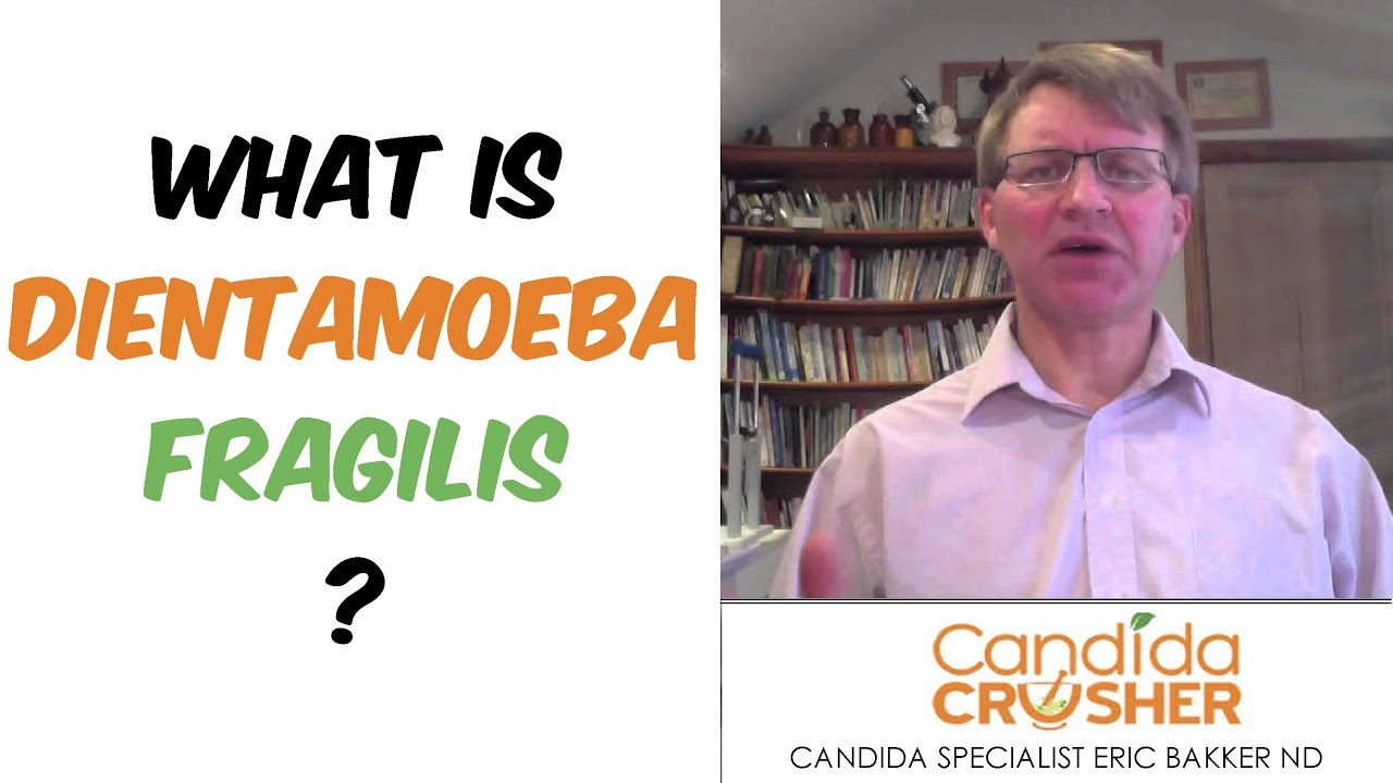 What Is Dientamoeba Fragilis?