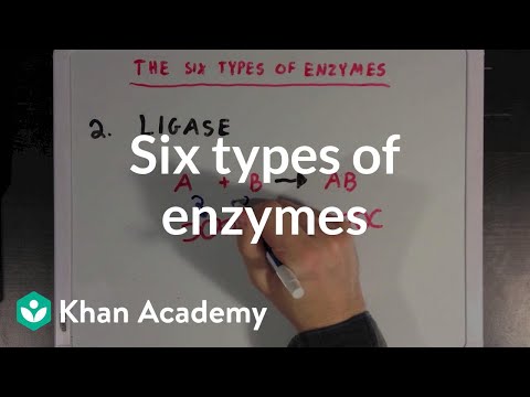 Six types of enzymes | Chemical Processes | MCAT | Khan Academy