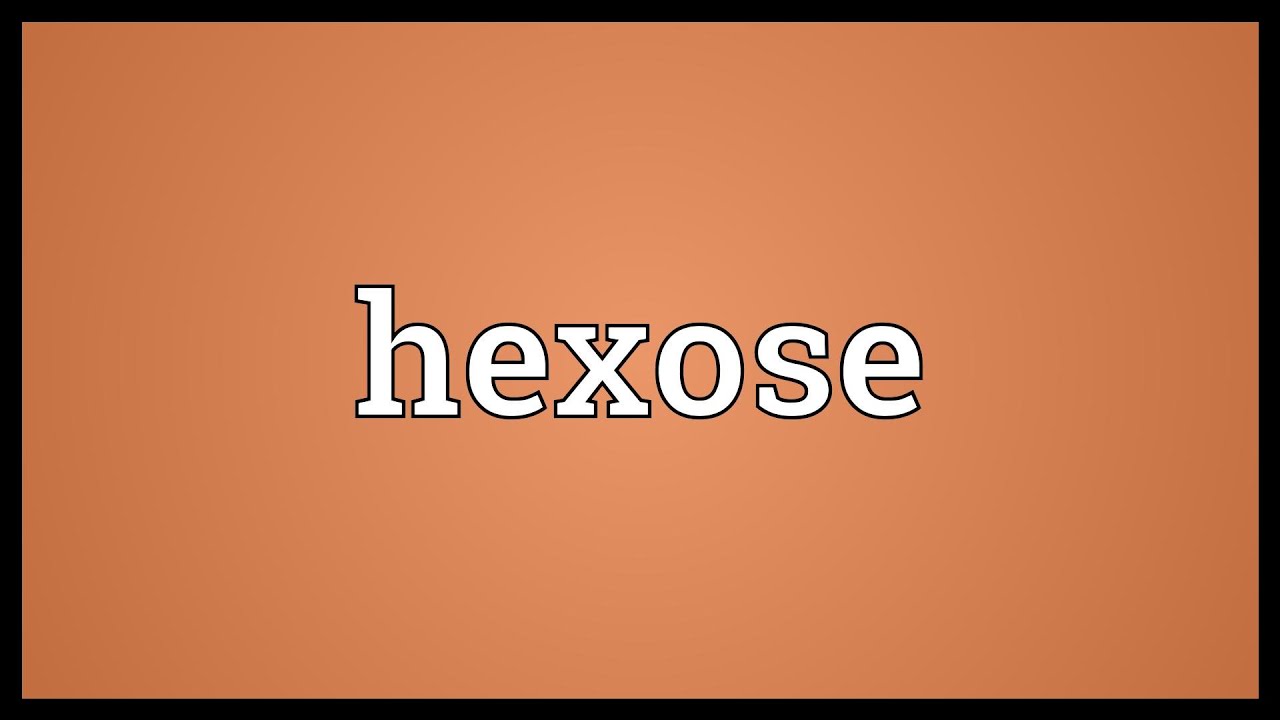 Hexose Meaning