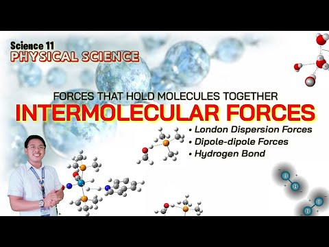 INTERMOLECULAR FORCES | Science 11 | Physical Science