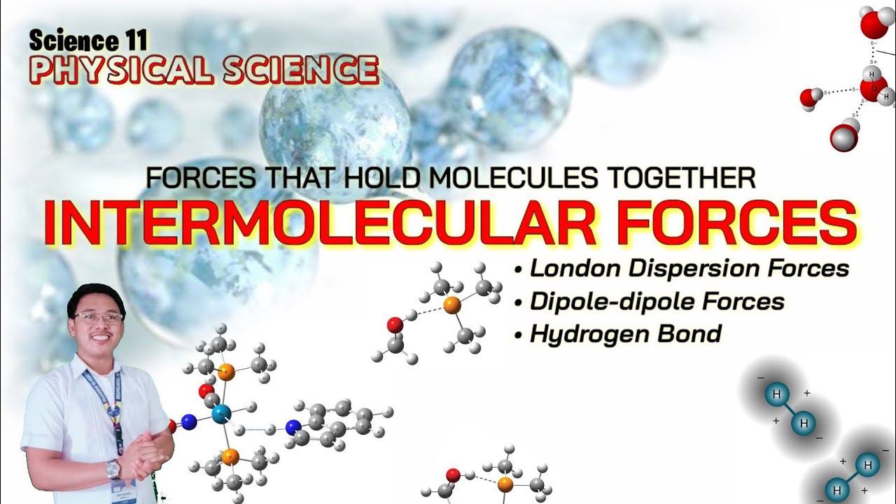 INTERMOLECULAR FORCES | Science 11 | Physical Science
