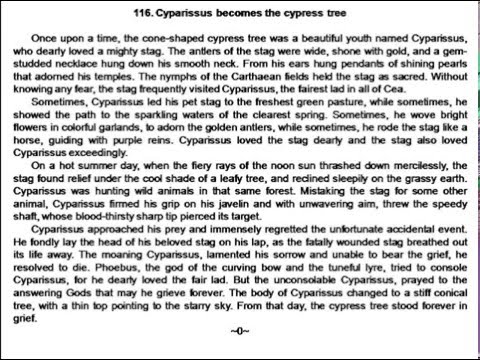 116. Cyparissus becomes the cypress tree – Rajen Jani