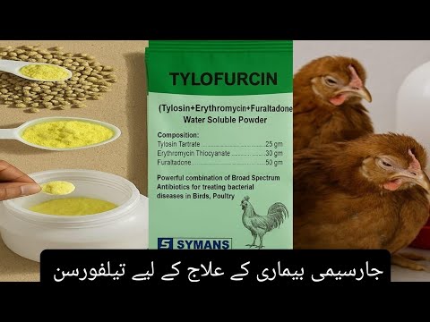 Birds Tylofurcio antibiotic powder | Treatment for poultry | Tylofurcio powder | A powerful antibiot