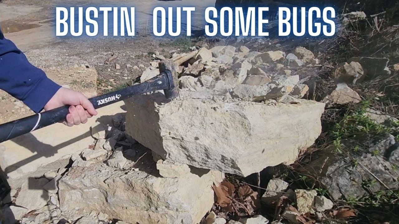 The Trilobite Was Too Broken to Save… So I Cast It in Tin