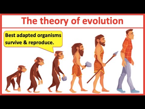 The theory of evolution & natural selection | Learn with examples