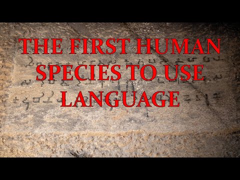 Which Human Species Was The First To Communicate Using Language?