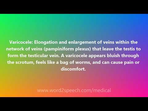 Varicocele - Medical Definition