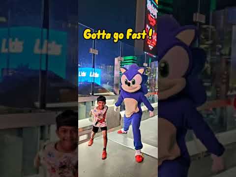 Gotta go Fast | sonic the hedgehog