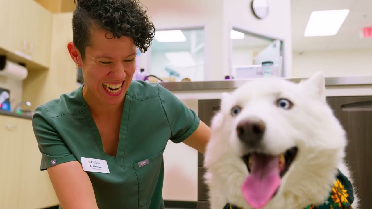 Why I Chose CityVet