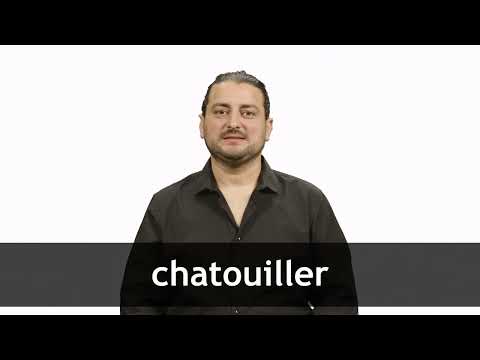 English Translation of “CHATOUILLER” | Collins French-English Dictionary