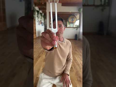 How to use a tuning fork #tuningfork #howtousetuningforks #soundhealing