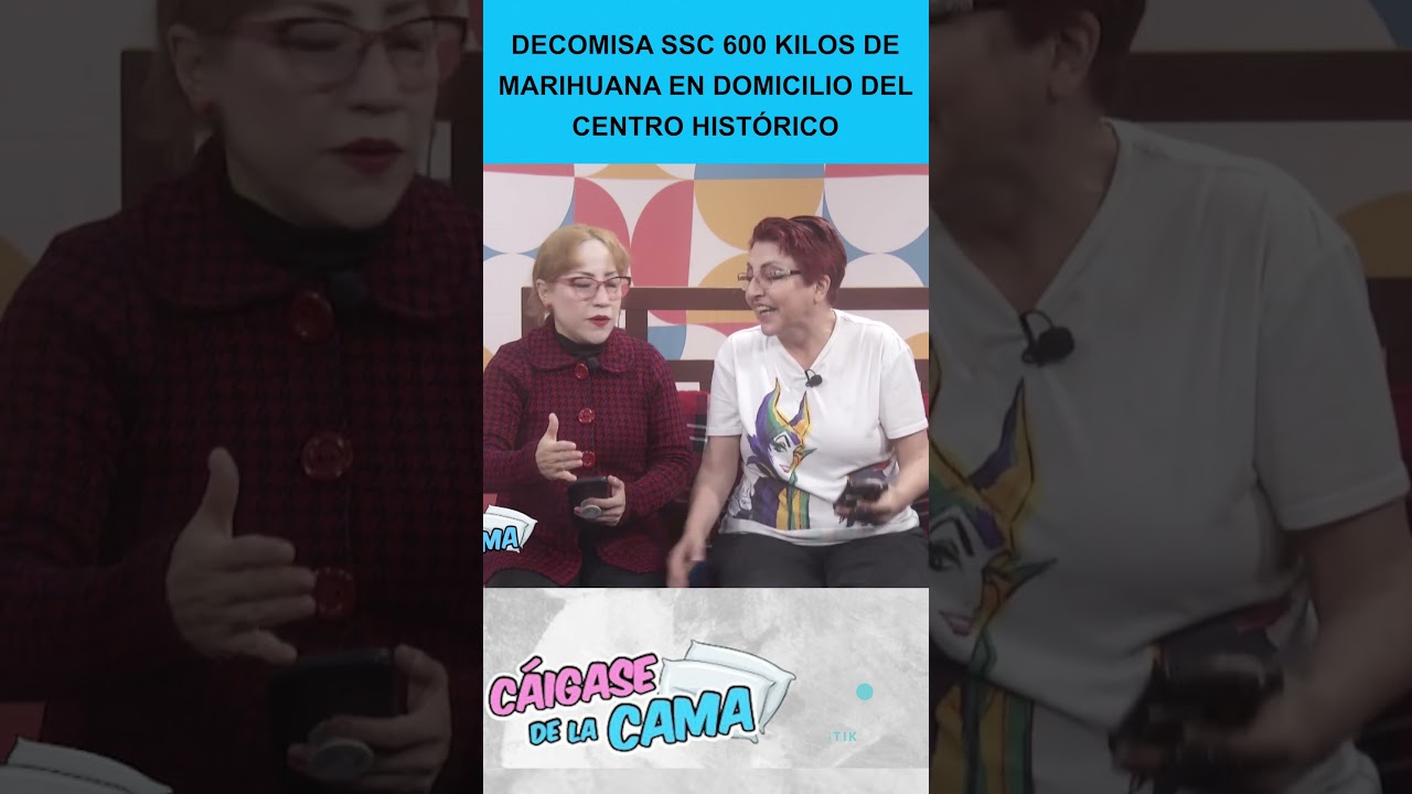 Decomisa SSC 600 kilos de marihuana en domicilio del centro histórico