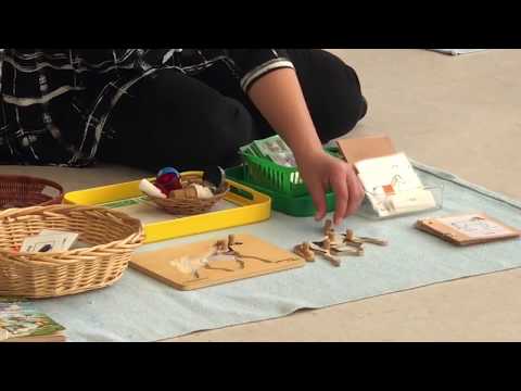 Primary Science Curriculum overview